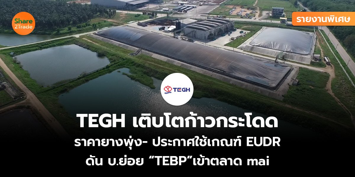 รายงานพิเศษ : TEGH เติบโตก้าวกระโดด ราคายางพุ่ง- ประกาศใช้เกณฑ์ EUDR ดัน บ.ย่อย “TEBP”เข้าตลาด ...
